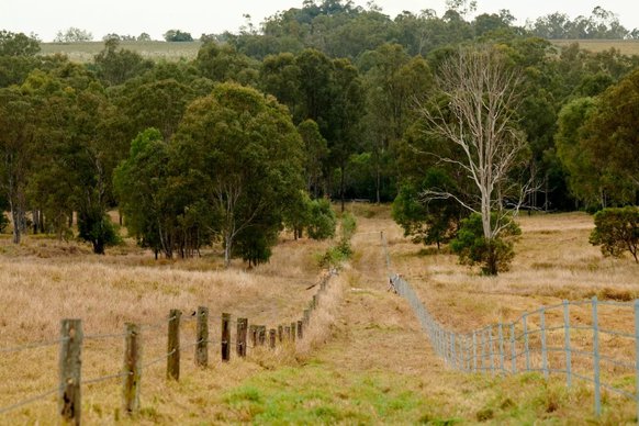 Secure Your Spot at the next GRASS Workshop