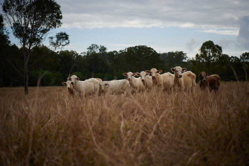 Electric Farm Vehicles: A Viable Option for the Future of Agriculture ...